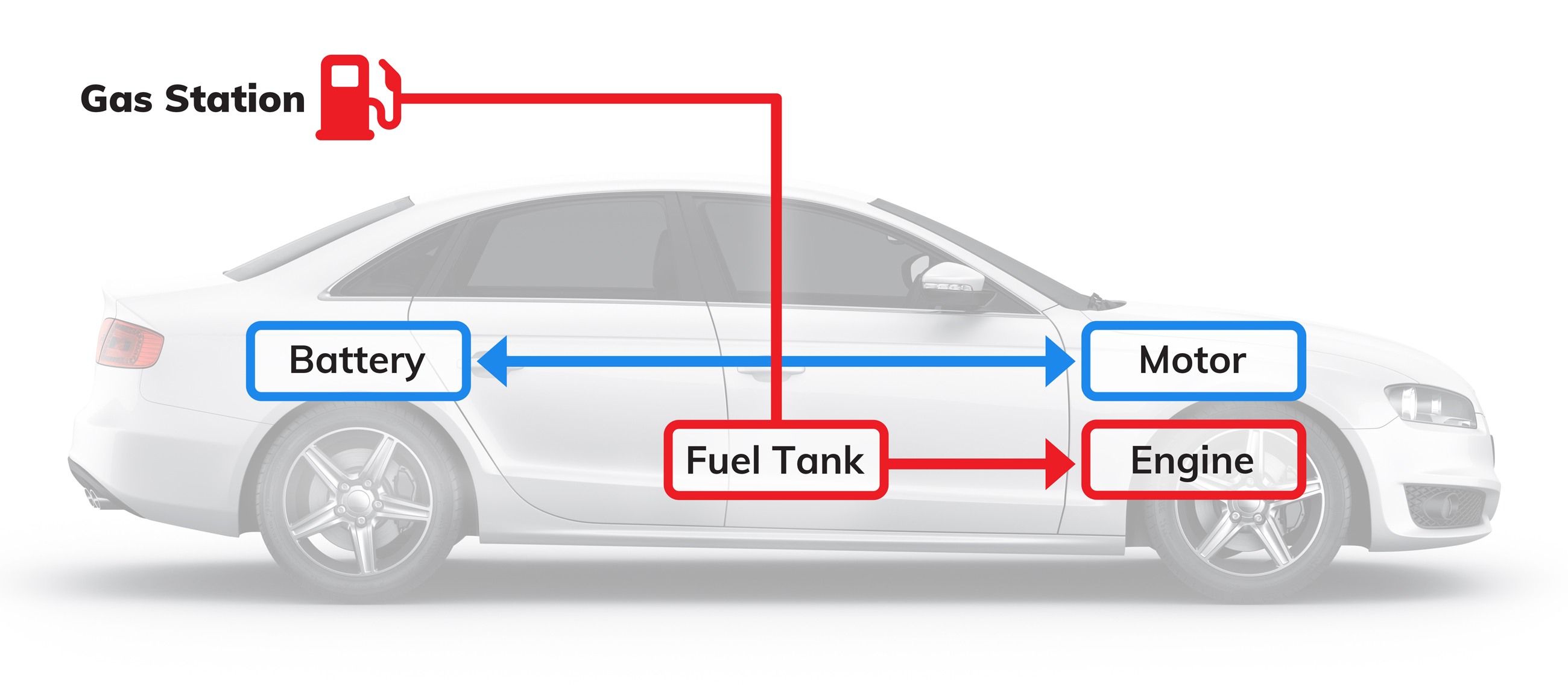 Hybrid Vehicles | DriveAway New Zealand